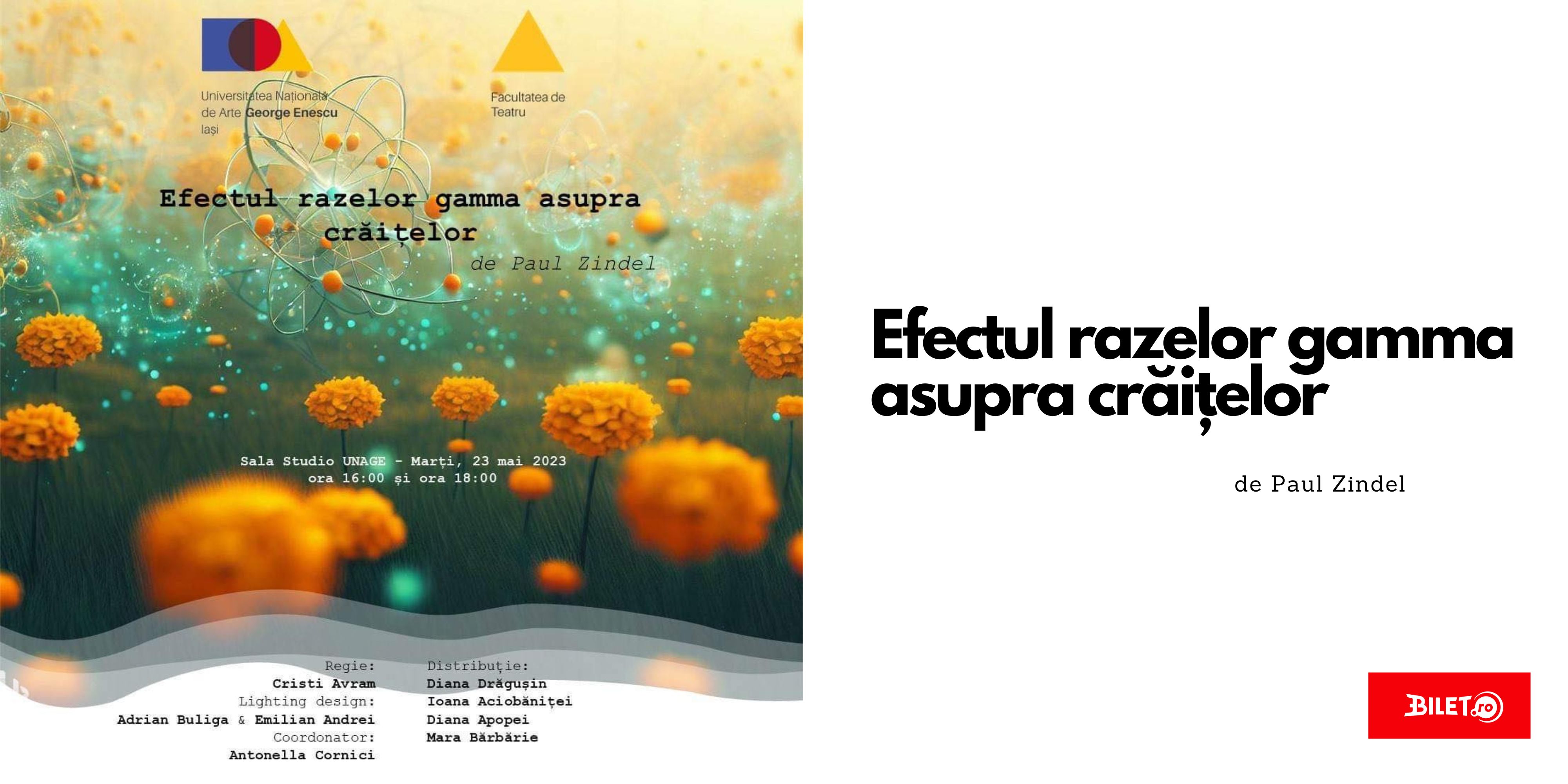 Bilete Efectul razelor gamma asupra crăițelor | Bucharest Fringe | BILET.ro