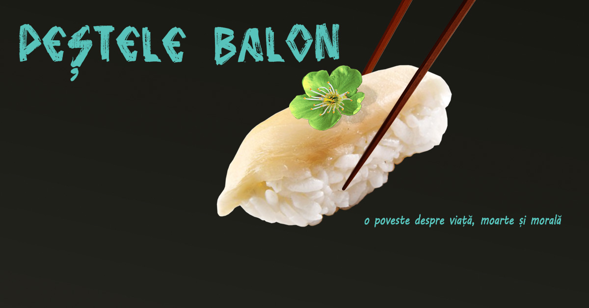 Bilete PESTELE BALON după o poveste de Alexandru Damian | Teatru | BILET.ro
