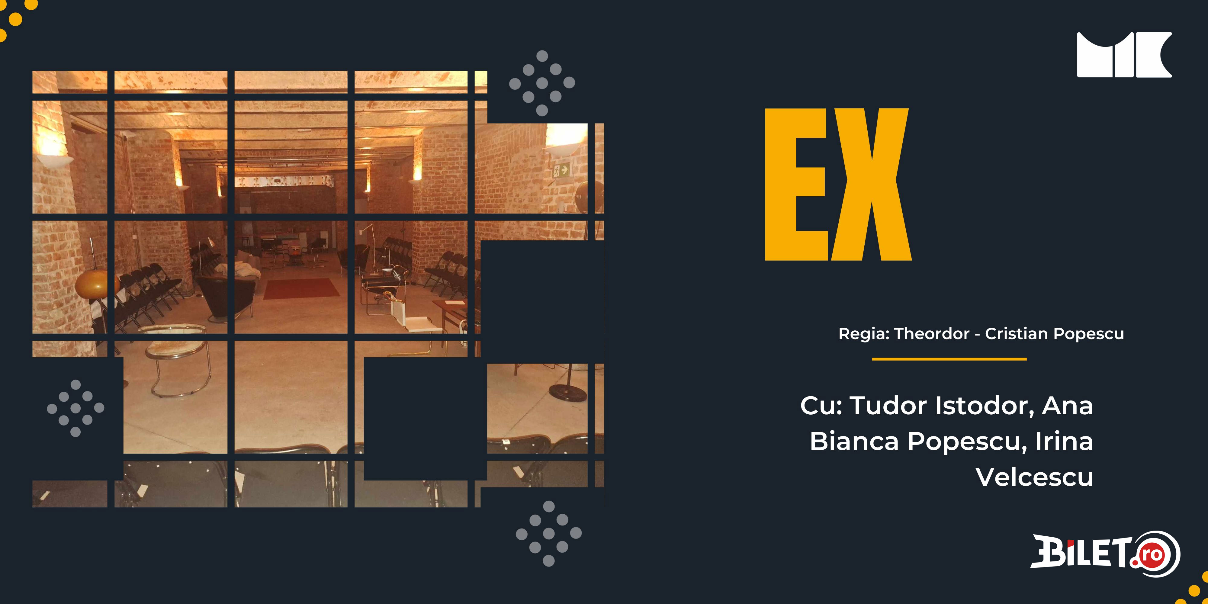 Bilete EX de Marius von Mayenburg (FNT 2024) | FNT | BILET.ro