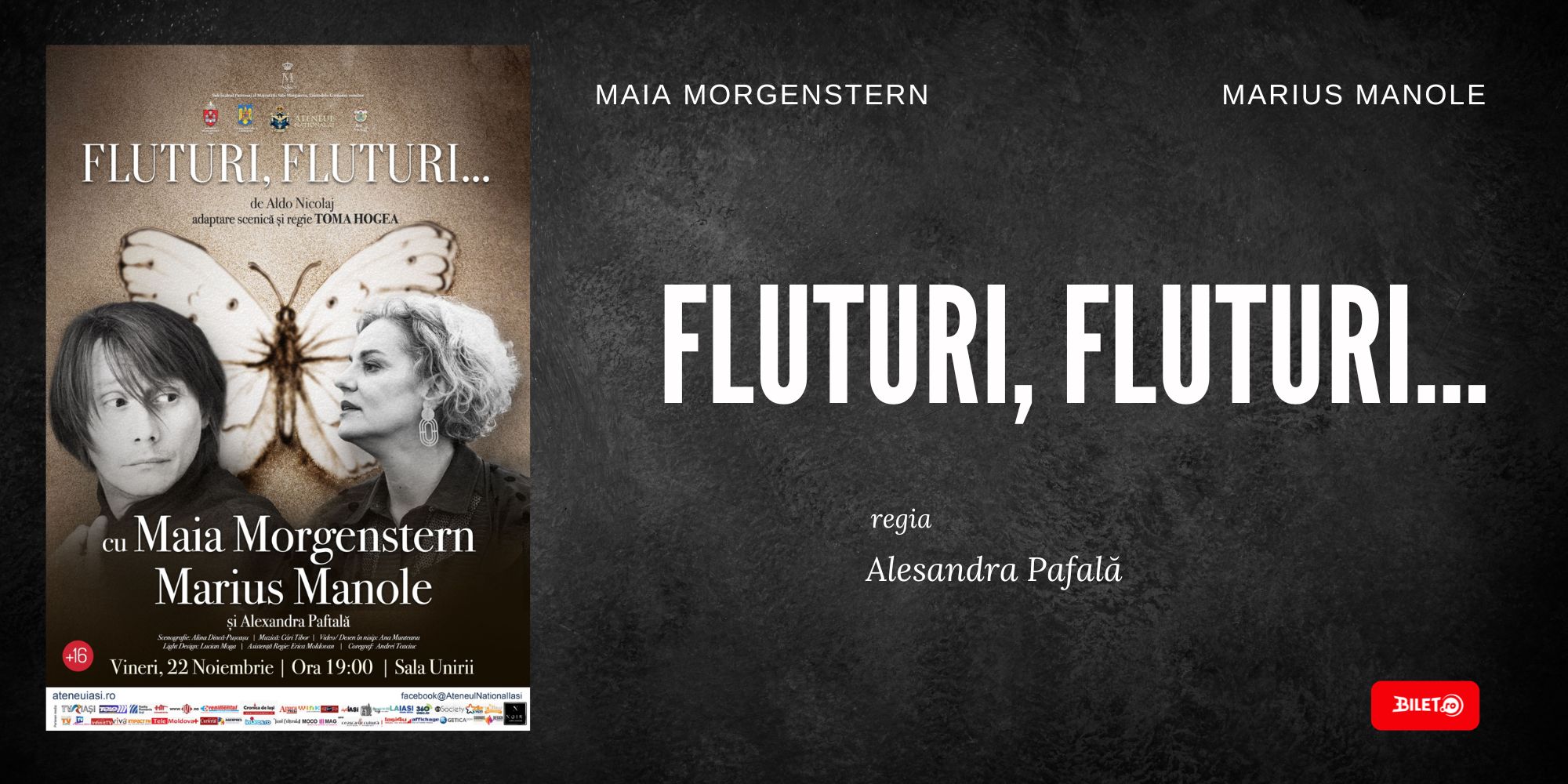 Bilete Fluturi, fluturi | regia Toma Hogea | Teatru | BILET.ro