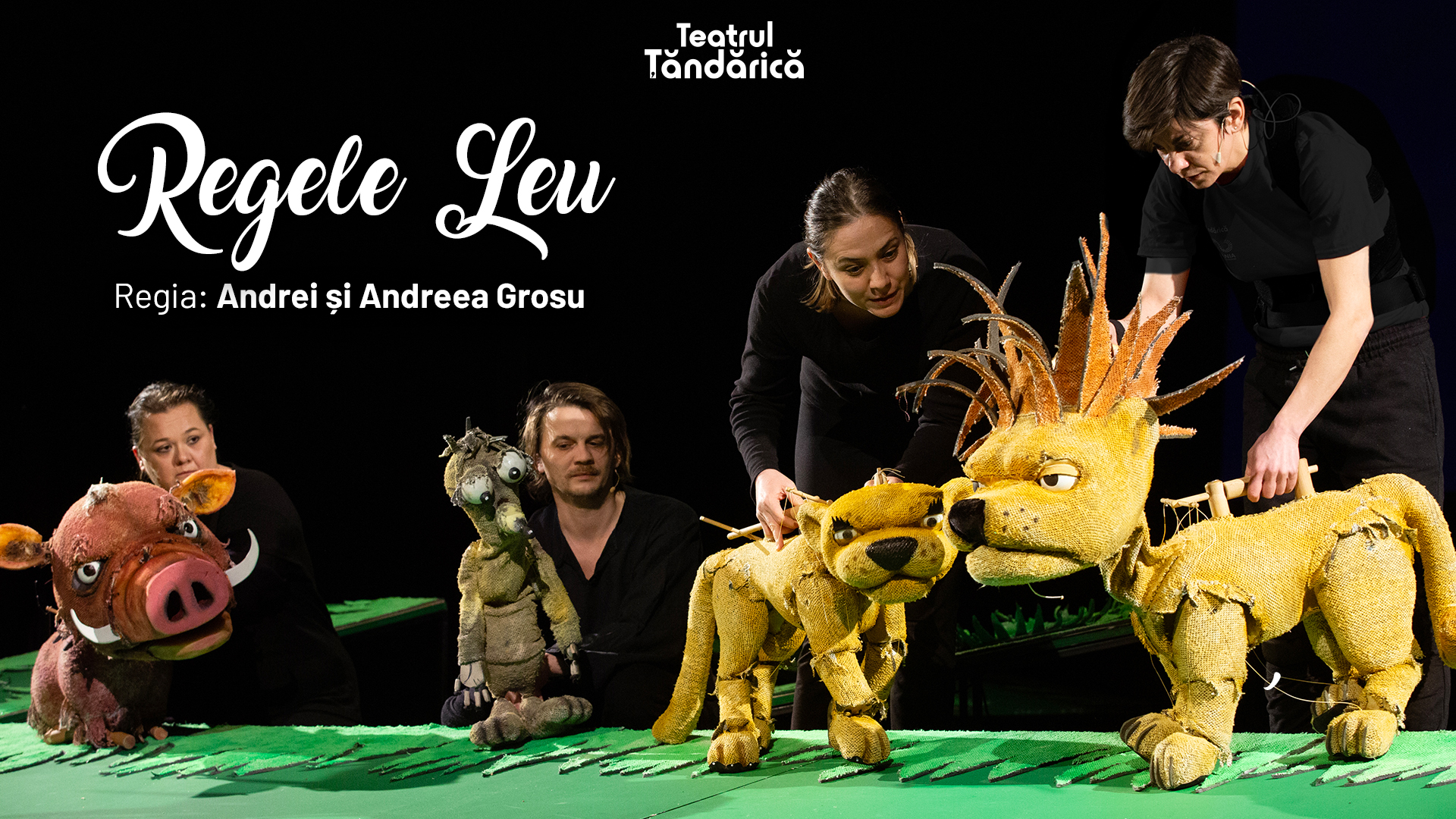 Bilete Regele Leu | 28 Sep 2025, 11:00 | Teatrul de Animatie Țăndărică ...