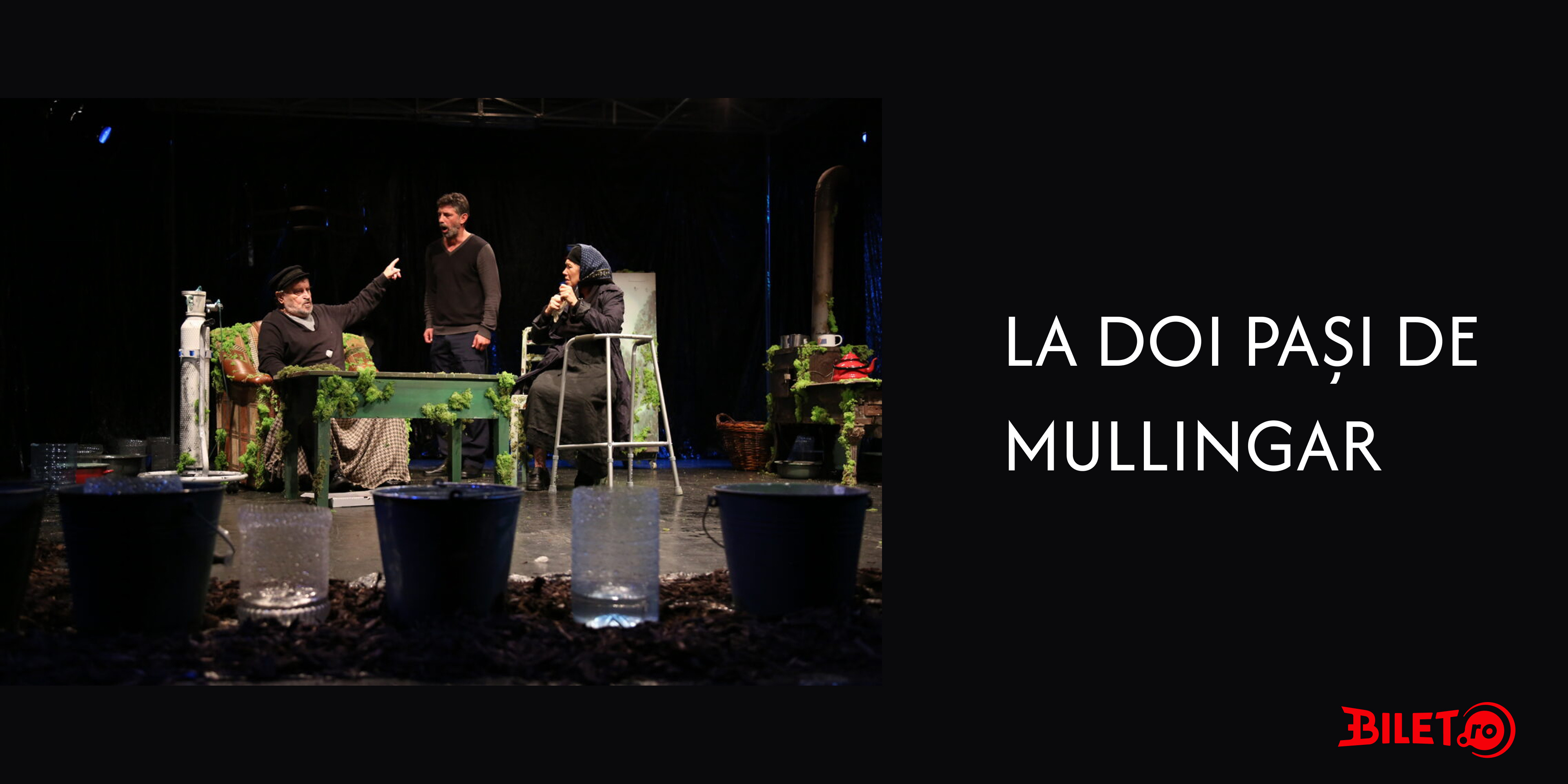 Bilete LA DOI PAȘI DE MULLINGAR | 23 Apr 2026, 19:30 | Nottara - Sala ...